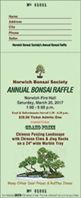 Jumbo sized raffle tickets modified with your text, logo, or own design.