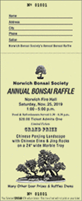 Jumbo sized raffle tickets modified with your text, logo, or own design.