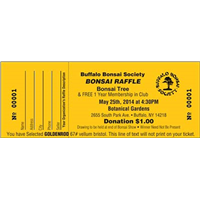 Print Custom Raffle tickets.